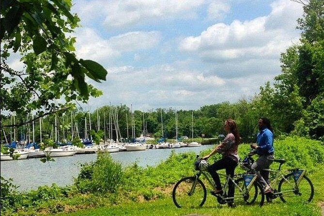 Old Town Alexandria to Mount Vernon Bike Rentals - Who Should Consider This Experience?
