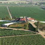 Old Wine Route Tour Experience at Baja California. ALL INCLUSIVE! - Why This Tour Offers Good Value