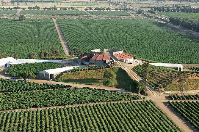 Old Wine Route Tour Experience at Baja California. ALL INCLUSIVE! - Why This Tour Offers Good Value