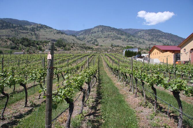 Oliver & Osoyoos Private Wine Tour - Half Day - Itinerary Breakdown: What to Expect at Each Stop