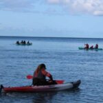 Olowalu: Guided Kayak and Snorkeling Tour - Unlimited - What Sets This Tour Apart?
