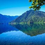 Olympic National Park Day Tour from Seattle - Value and Who Will Love This Tour