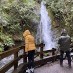 Olympic National Park: Half-Day Tour - The Itinerary: A Closer Look