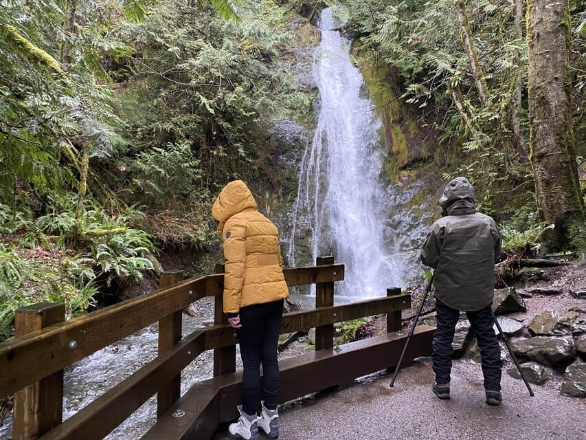Olympic National Park: Half-Day Tour - The Itinerary: A Closer Look