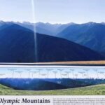 Olympic National Park Small Group Day Tour w/ State Ferries - Who Should Consider This Tour?