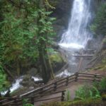 Olympic National Park: Sol Duc and Hurricane Ridge Tour - Is This Tour Worth It?