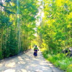 One Day E-Bike Tour In The Colorado Rockies - The E-Bikes: Power and Comfort
