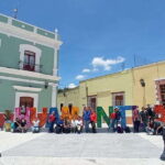 One day tour from Mexico City to Firefly Sanctuary - Is it worth the cost?