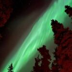 Open Fire Aurora Viewing and Snowshoeing Adventure in Whitehorse - Who Will Love This Tour?