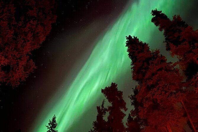 Open Fire Aurora Viewing and Snowshoeing Adventure in Whitehorse - Who Will Love This Tour?
