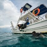 Open Water Course Cozumel - Who Should Consider This Course?