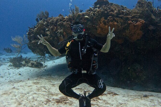 Open Water Diver Course - Authentic Feedback: What Travelers Say