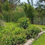 Openwork butterfly garden - What to Expect During Your Visit