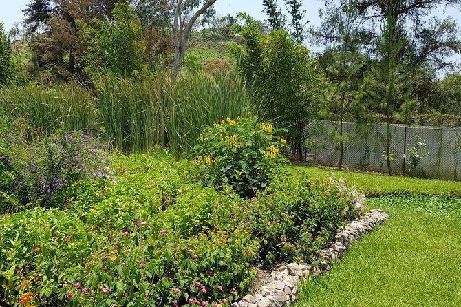 Openwork butterfly garden - What to Expect During Your Visit
