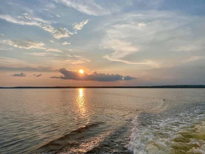 Orange Beach: Dolphin Eco Sunset Cruise aboard The Explorer - Wildlife and Scenery: What Youll Most Likely See