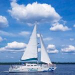Orange Beach: Dolphin & Sailing Cruise Aboard 52' Catamaran - A Detailed Look at the Experience