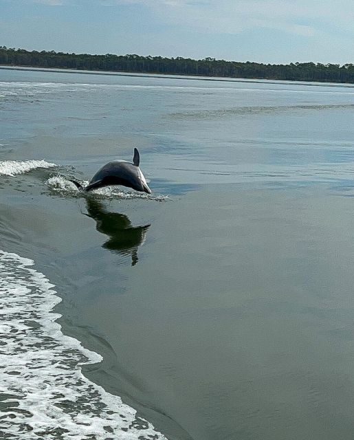 Orange Beach: Dolphin-Watching Eco-Boat Tour - Who Will Enjoy This Tour?