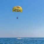 Orange Beach: Parasailing Experience - Who Will Love This Tour?