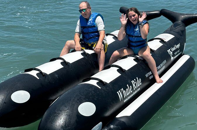 Orca Whale Inflatable Rides - A Detailed Look at the Orca Whale Inflatable Ride