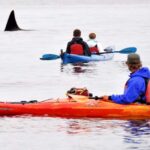 Orcas Island: Wildlife Spotting Kayak Tour - The Practical Side: Costs, Booking, and Tips