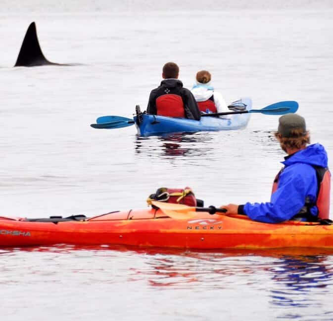 Orcas Island: Wildlife Spotting Kayak Tour - The Practical Side: Costs, Booking, and Tips