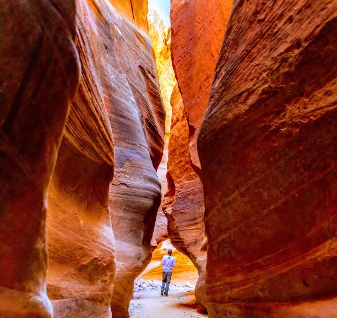 Orderville: East Zion Park White Mountain Horseback Tour - The Slot Canyon: A Hidden Gem