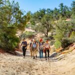 Orderville/Kanab: Coral Sands Canyoneering & Rappelling Tour - The Itinerary in Detail