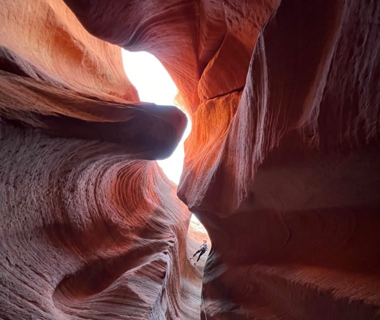 Orderville: Rappelling Slot Canyon and UTV Tour - The Value of the Experience
