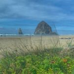 Oregon Coast Day Tour: Cannon Beach and Haystack Rock - What Is Included and What to Consider