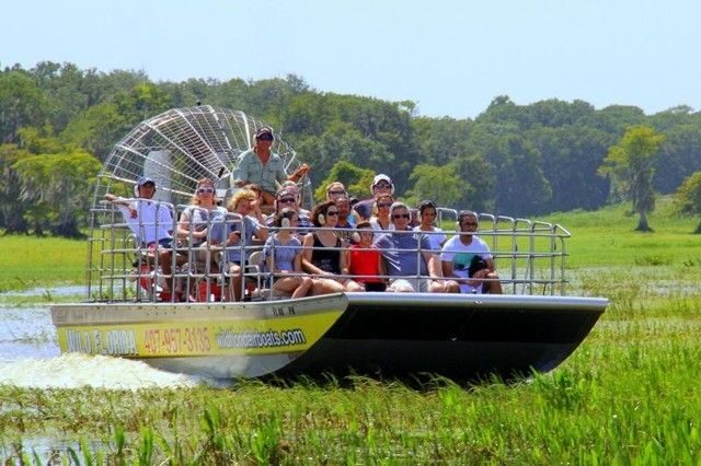 Orlando: Airboat Safari with Transportation - An In-Depth Look at the Experience