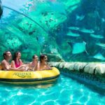 Orlando: Aquatica Water Park Admission Ticket - Who Should Consider Visiting?