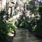 Orlando: City Highlights and Hidden Gems Tour - Authentic Traveler Feedback