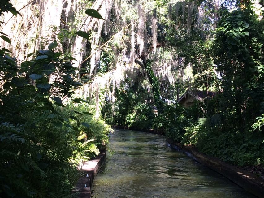 Orlando: City Highlights and Hidden Gems Tour - Authentic Traveler Feedback