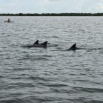 Orlando: Dolphin Clear Kayak or Paddle Board Adventure - Who Will Love This?