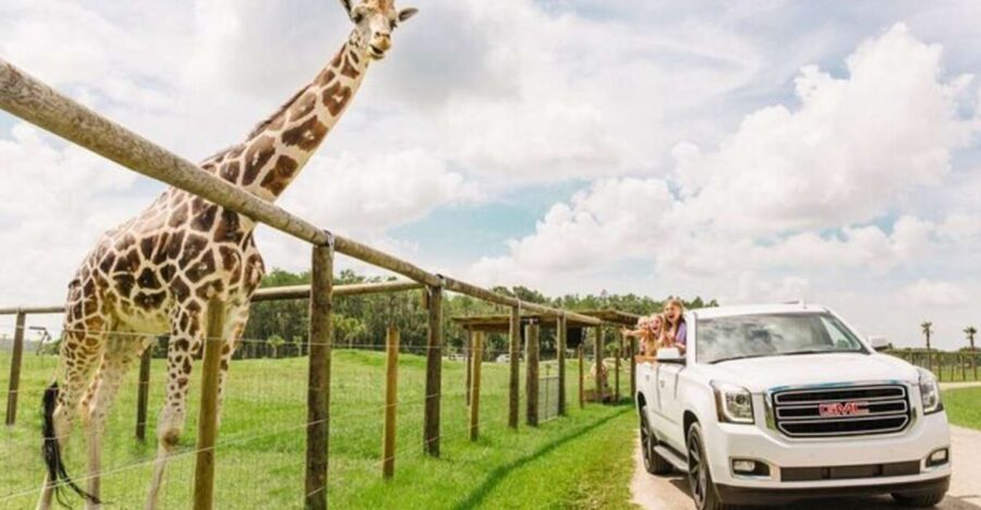 Orlando: Drive-Thru Safari Park at Wild Florida - Up-Close Encounters and Feeding Opportunities