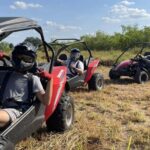 Orlando: Dune Buggy Tour - The Sum Up: Is This Tour Worth It?