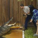 Orlando: Gatorland Interactive Tour with Animal Trainer - The Experience in Detail