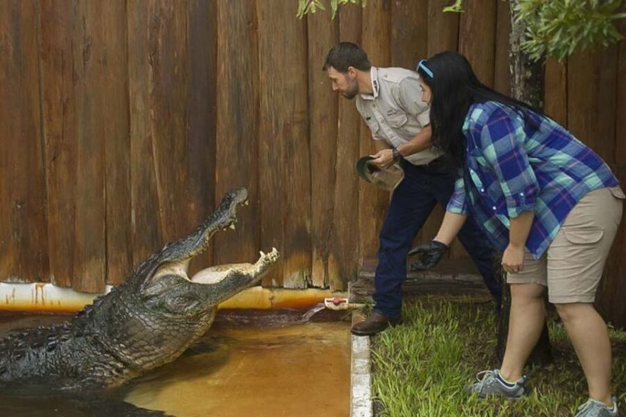 Orlando: Gatorland Interactive Tour with Animal Trainer - The Experience in Detail