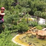 Orlando: Gatorland Zipline Adventure w/ Full-Day Park Access - Why This Experience Offers Good Value