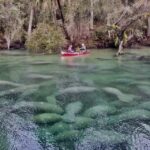 Orlando: Kayaking Tour with Manatee Encounter - Wildlife Encounters and Photography Opportunities