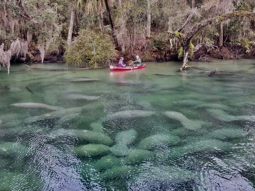 Orlando: Kayaking Tour with Manatee Encounter - Wildlife Encounters and Photography Opportunities