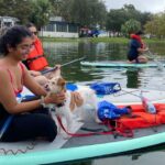Orlando: Paddle with Pups in Paradise - Paddleboard or Kayak - The Itinerary in Detail
