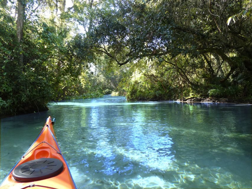 Orlando: Small Group Rock Springs Run Kayak Tour - An Itinerary That Balances Adventure and Relaxation