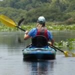 Orlando: Small Group Scenic Wekiva River Kayak Tour - The Itinerary in Detail