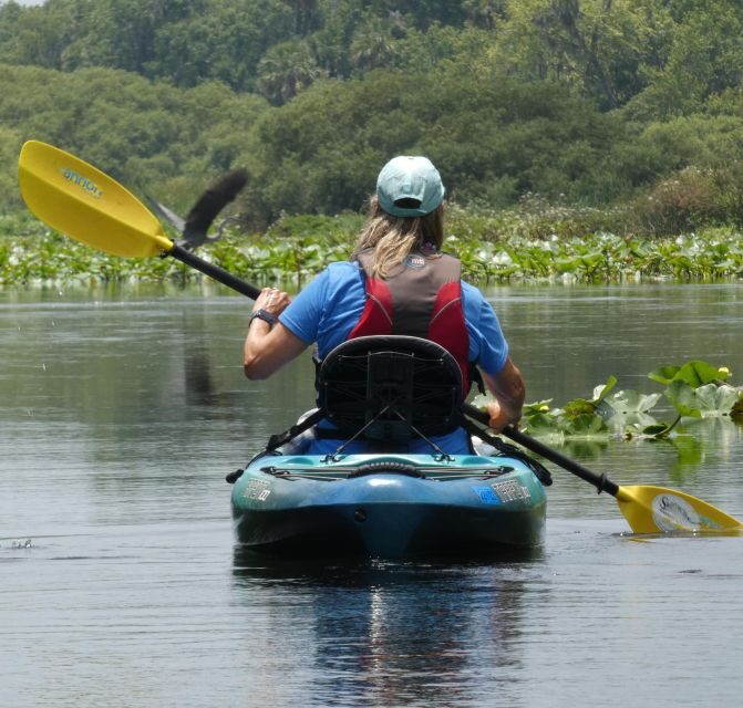 Orlando: Small Group Scenic Wekiva River Kayak Tour - The Itinerary in Detail