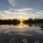 Orlando: Sunset guided kayaking tour - Overall Value and Experience