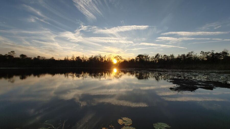 Orlando: Sunset guided kayaking tour - Overall Value and Experience