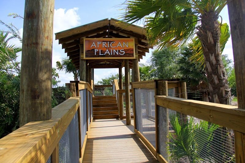 Orlando: Wild Florida Park Ticket and Gator Shows - The Itinerary: What Does a Day at Wild Florida Look Like?