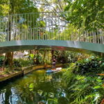 Orlando: Winter Park Paddle Adventure - What to Expect from the Tour