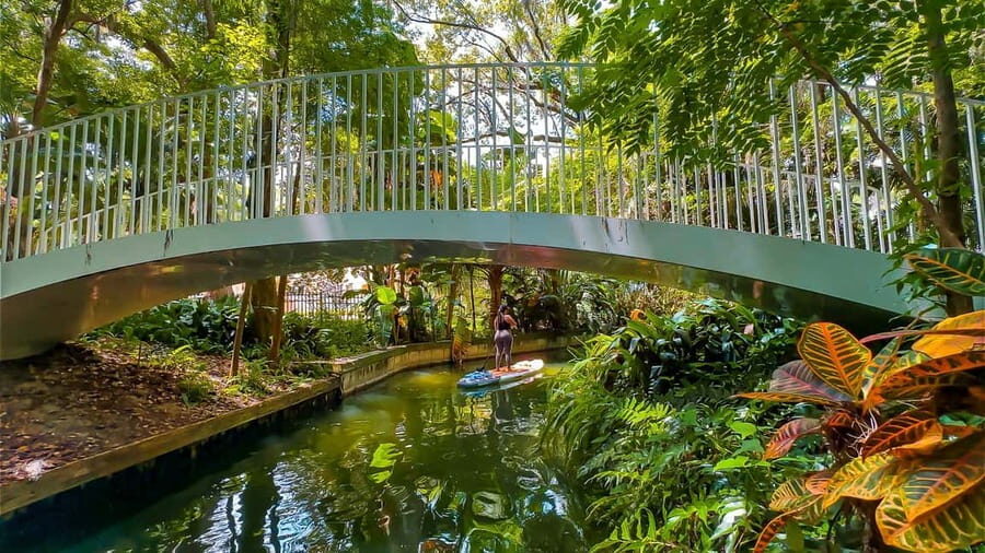 Orlando: Winter Park Paddle Adventure - What to Expect from the Tour